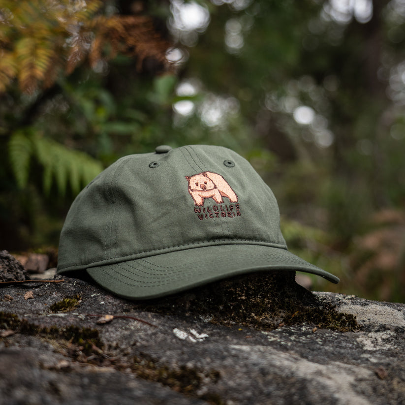Embroidered Wombat Cap – Wildlife Victoria