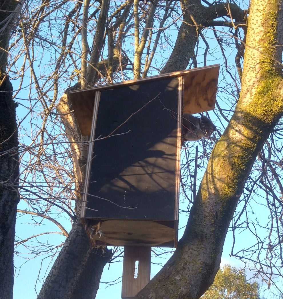 Possum Nesting Box - Self collection from Men's Shed* – Wildlife Victoria